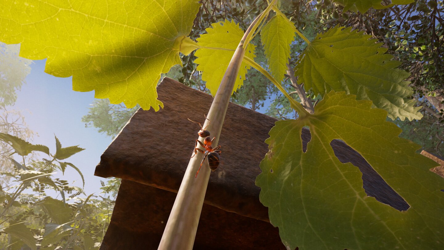 Empire of the Ants kehrt zurück: Ich war für eine Stunde der Napoleon ...