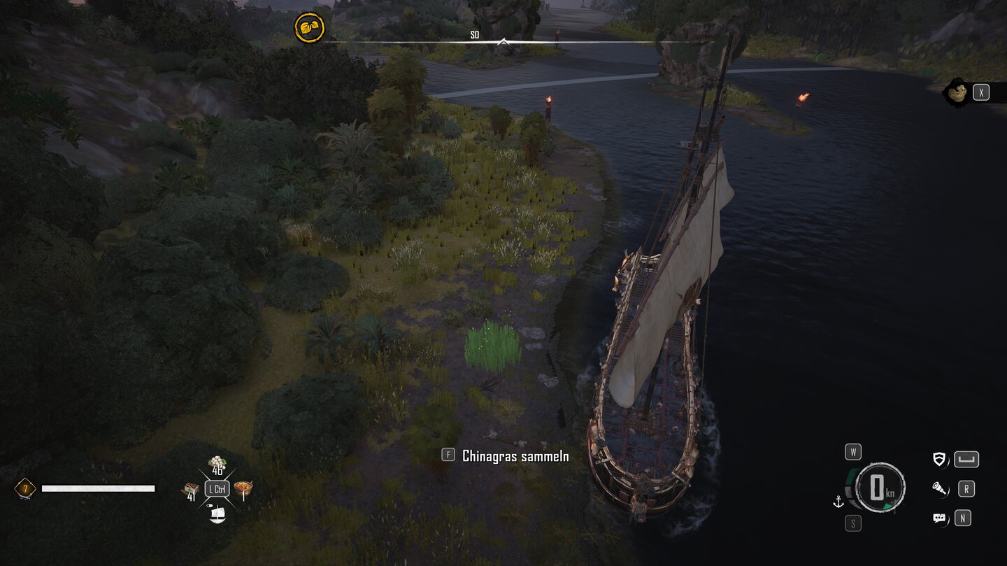 Skull and Bones: Chinagras finden und Gutes Chinagrasgewebe herstellen