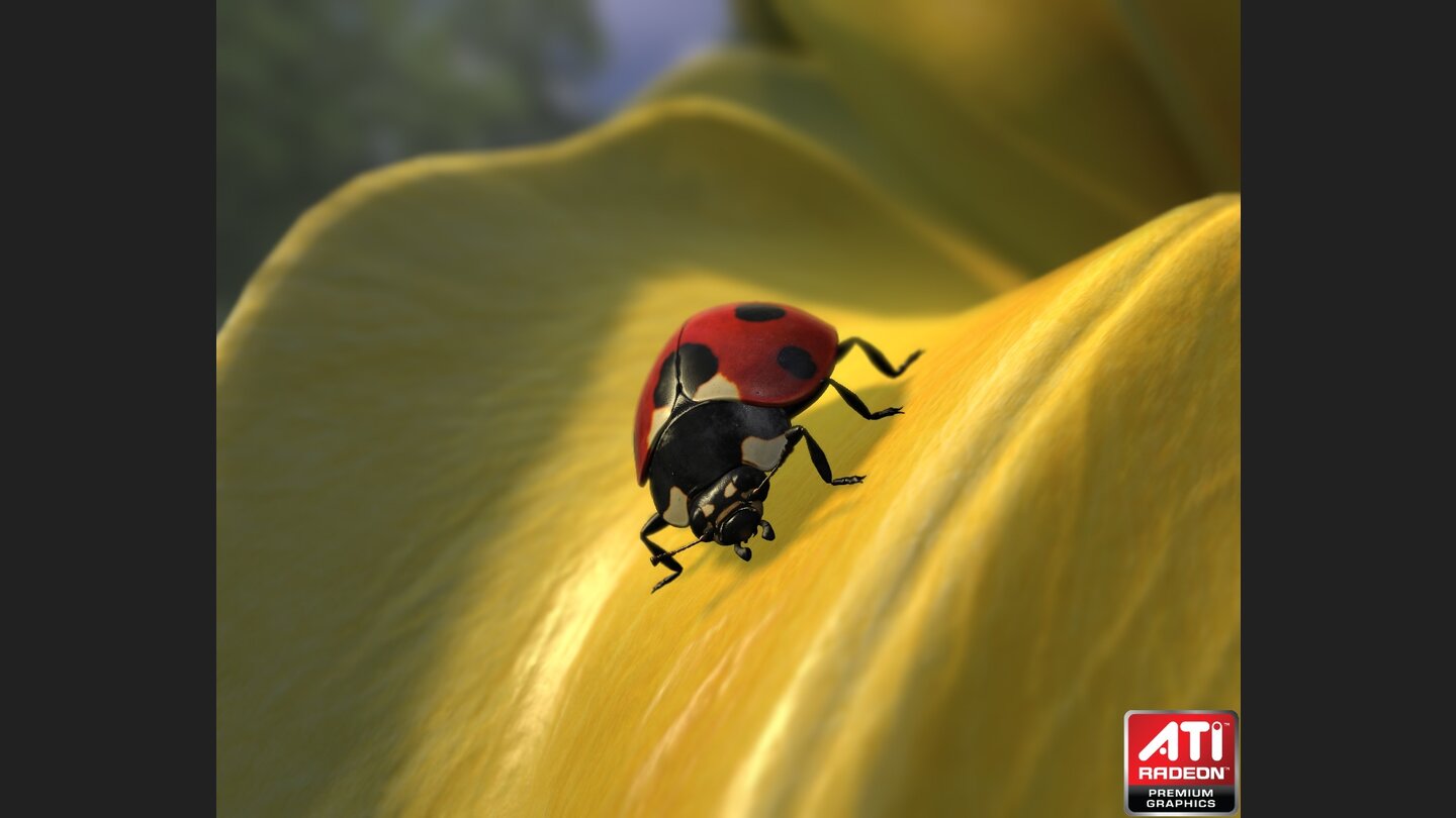 Technik-Demo ATI Ladybug - Screenshots