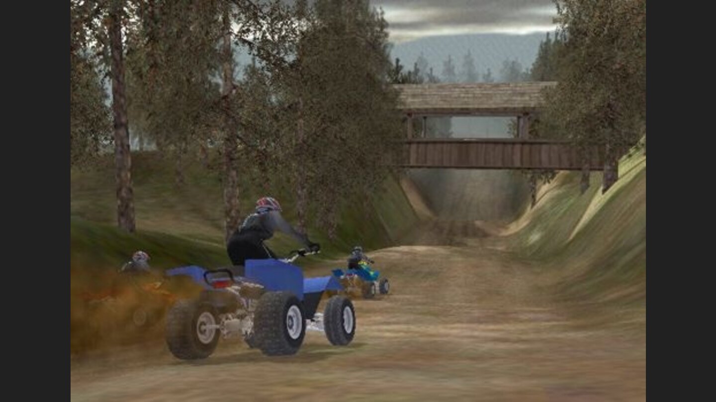 ATV Offroad PS2