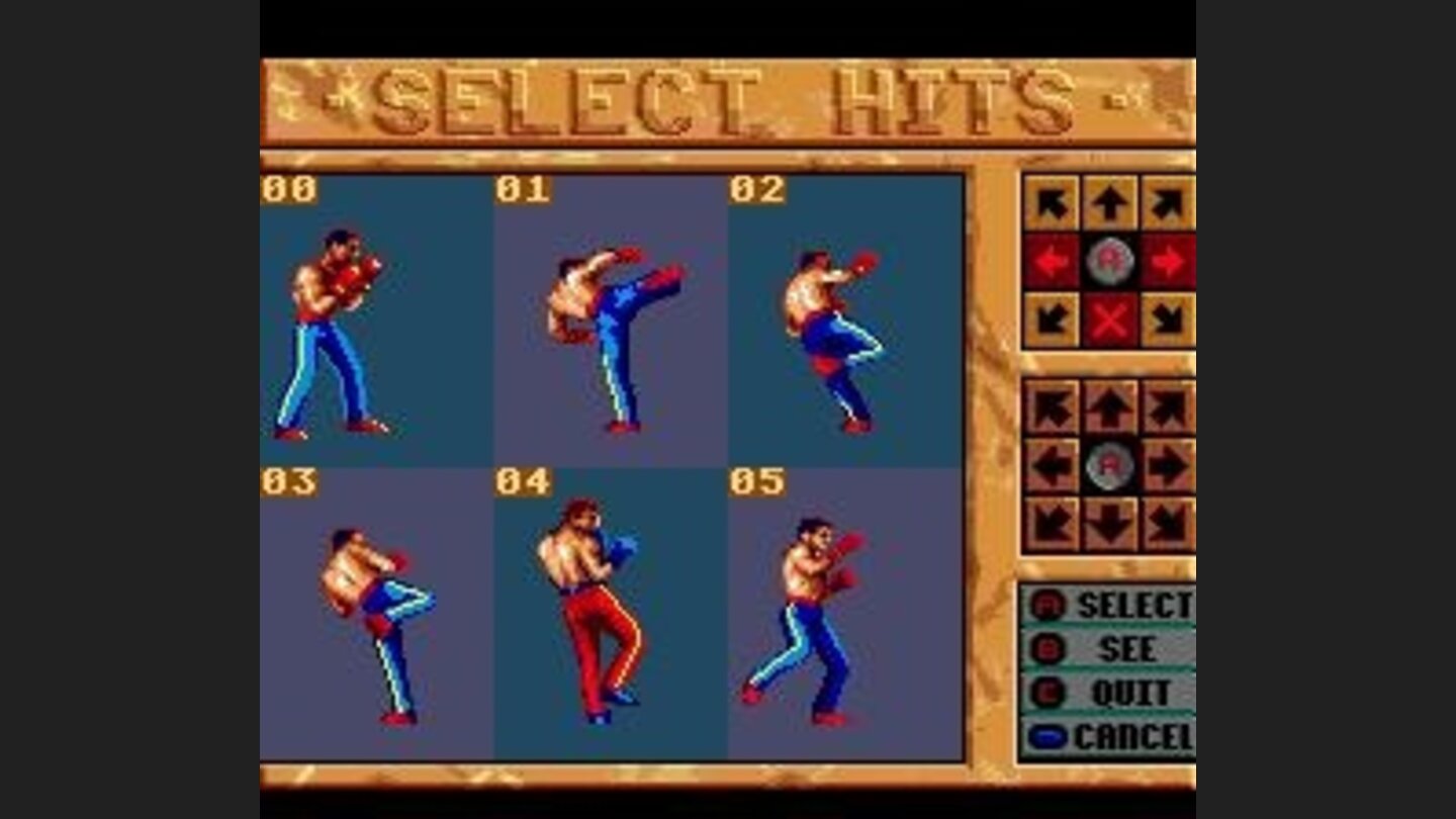 Best of the Best Championship Karate Sega Mega Drive