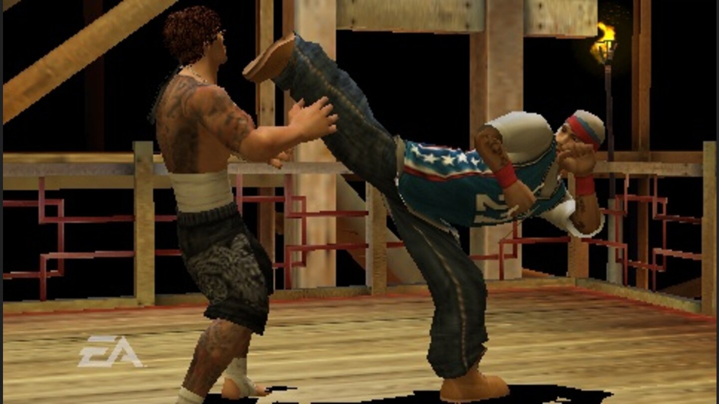 Def Jam Fight for NY The Takeover PSP