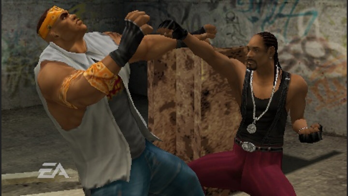 Def Jam Fight for NY The Takeover PSP