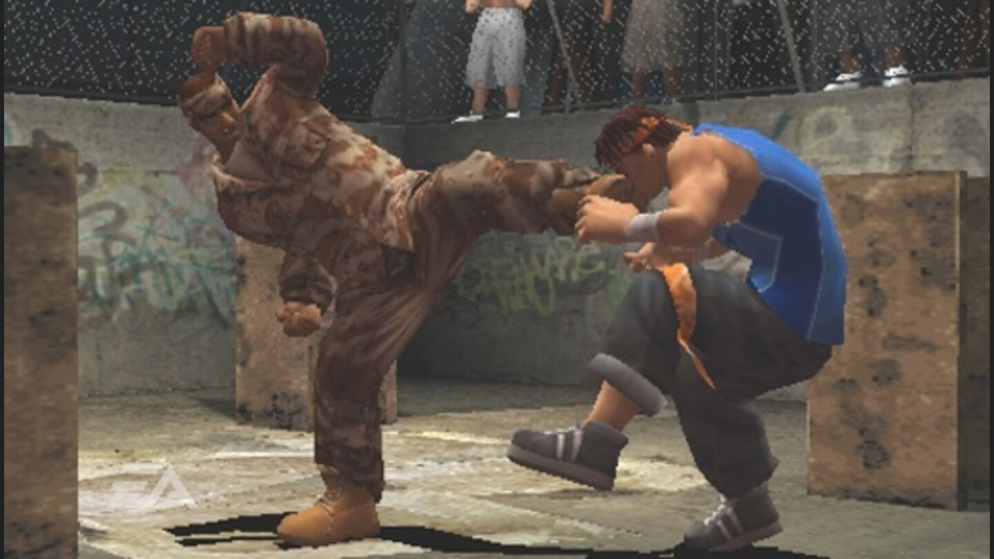 Def Jam: Fight for New York PSP