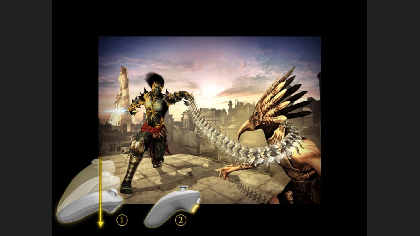 Prince of Persia: Rival Swords Wii