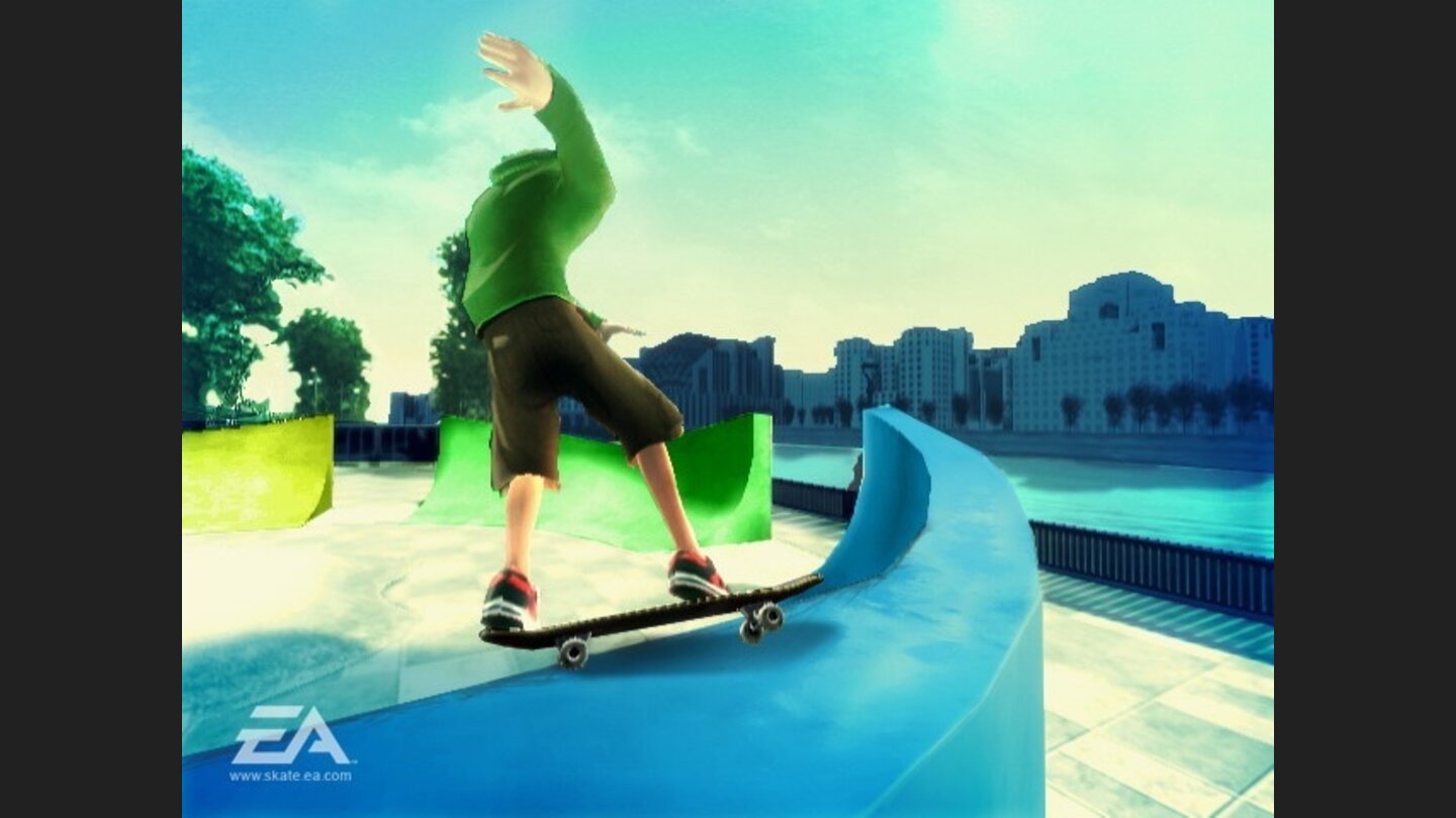 Skate it Wii