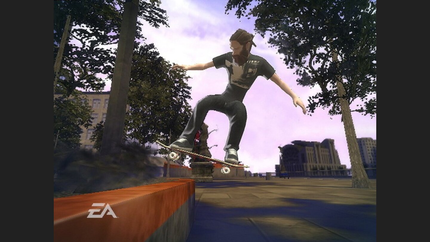 Skate it Wii