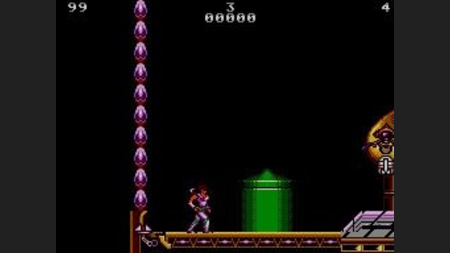 Strider Sega Master System
