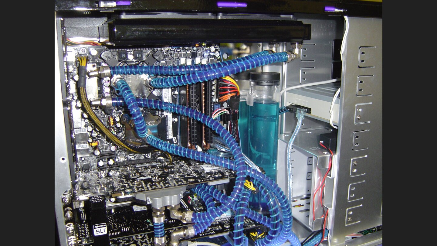 Ultraviolet Machines Genesis XOC