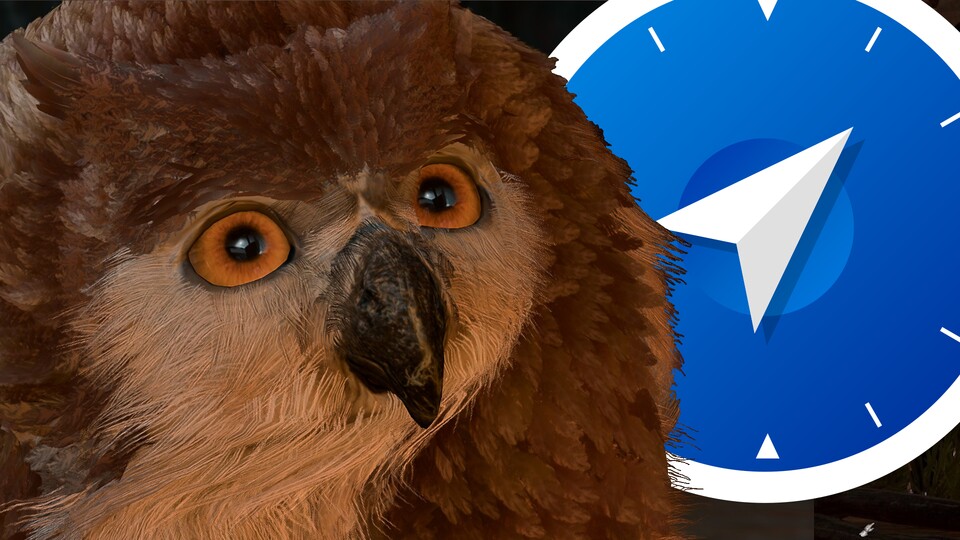 Baldur's Gate 3: Ihr könnt ein Eulenbärenjunges finden und behalten - so geht's