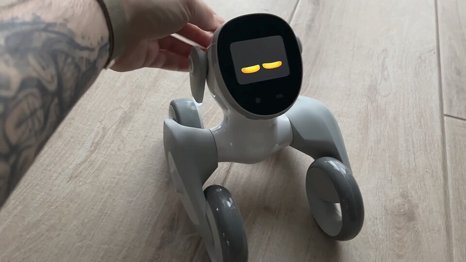 Ich habe einen Haustier-Roboter ausprobiert: Mein Fazit nach 4 Wochen ...