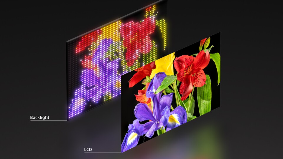 LCD, OLED, Mini-LED und Co.: Alle TV-Arten einfach erklärt