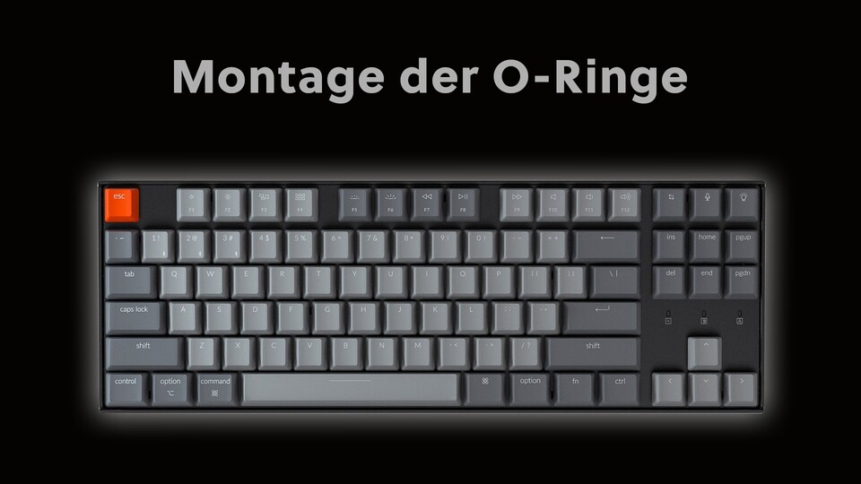 Mechanical keyboard too loud? With this simple change I found a ...