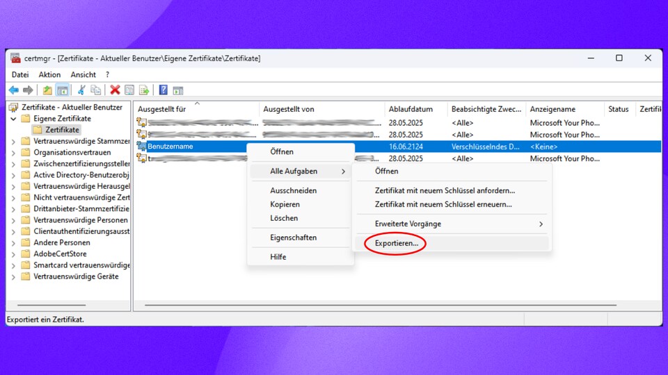 Windows Ordner mit Passwort schützen: So sichert ihr eure Daten vor ...
