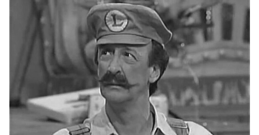 The Super Mario Bros. Super Show! - Luigi-Darsteller Danny Wells im ...