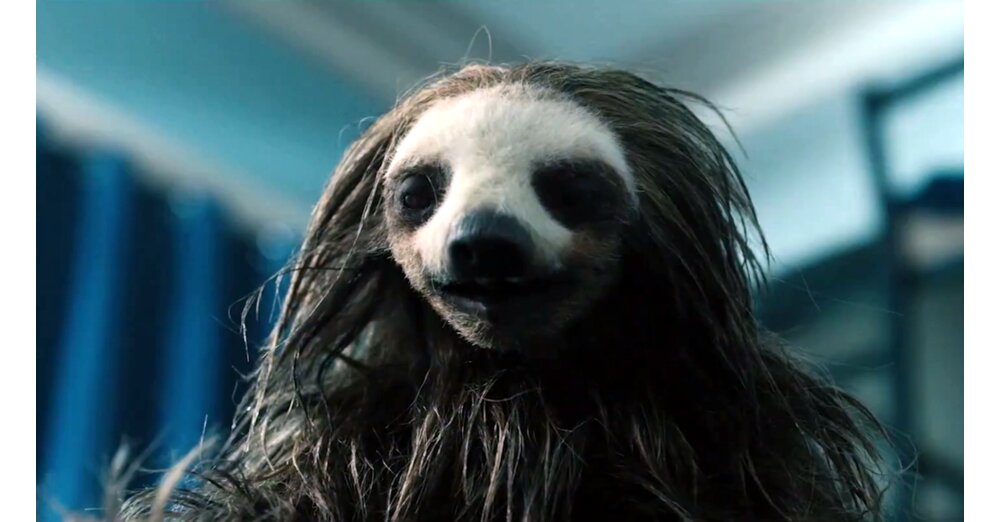 Im Horrorfilm Slotherhouse wird ein Faultier zum Killer - ja, ihr habt ...