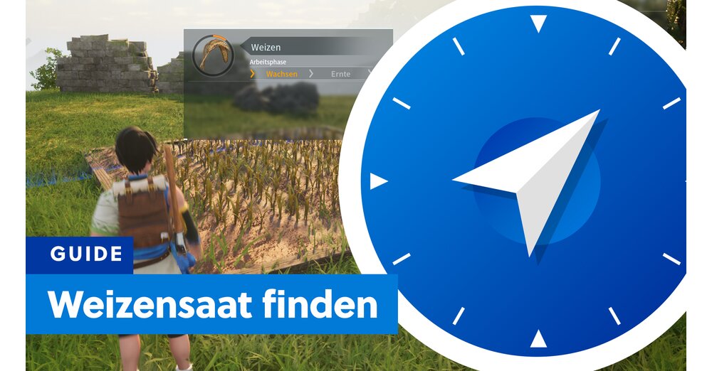Palworld: Weizensaat finden und Weizen auf eurem Feld anbauen
