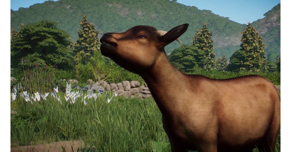 Planet Zoo bekommt sieben neue Tiere und ihr könnt jetzt den perfekten ...