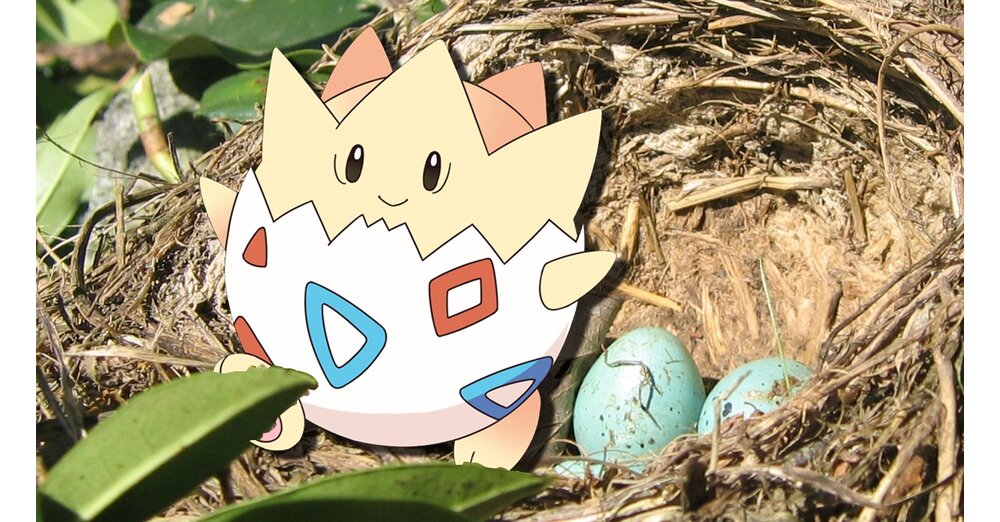 Pokémon GO - Ausblick auf Generation 2 bis 6 und die Eier, aus denen ...