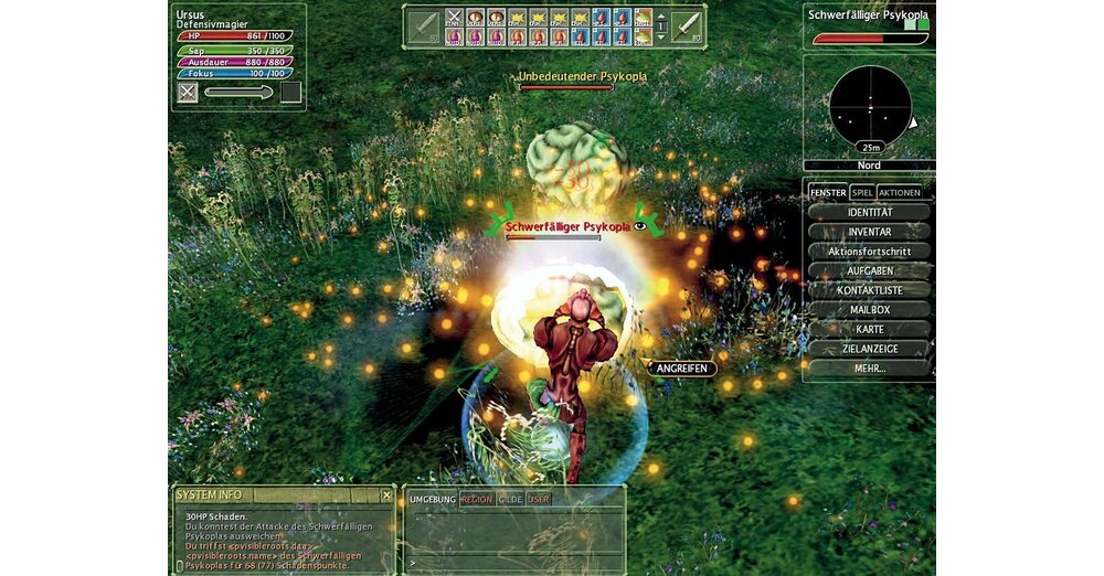 Saga of Ryzom - Nevrax meldet Konkurs an