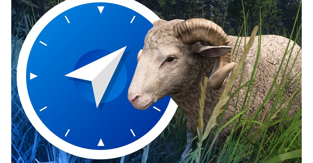 Kingdom Come 2: Alle Schäferquests gelöst - so bringt ihr eure ...