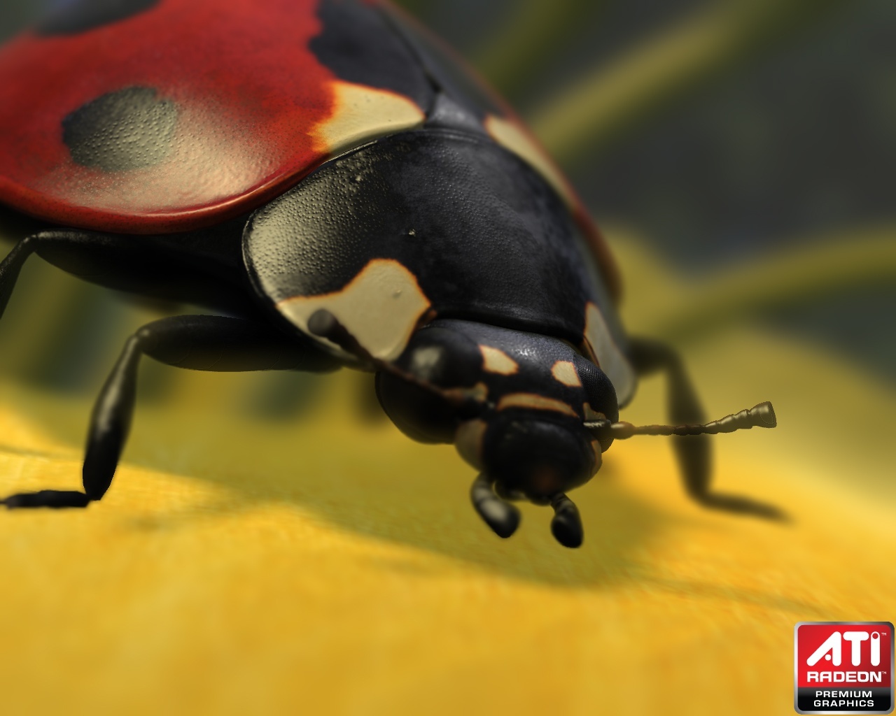 Technik-Demo ATI Ladybug - Screenshots