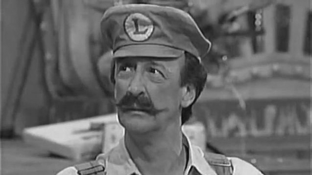 The Super Mario Bros. Super Show! - Luigi-Darsteller Danny Wells im ...