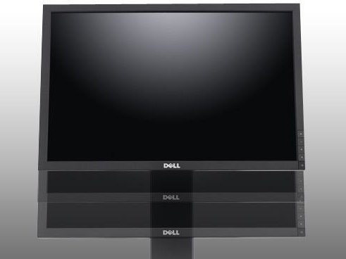 Dell Professional P2210