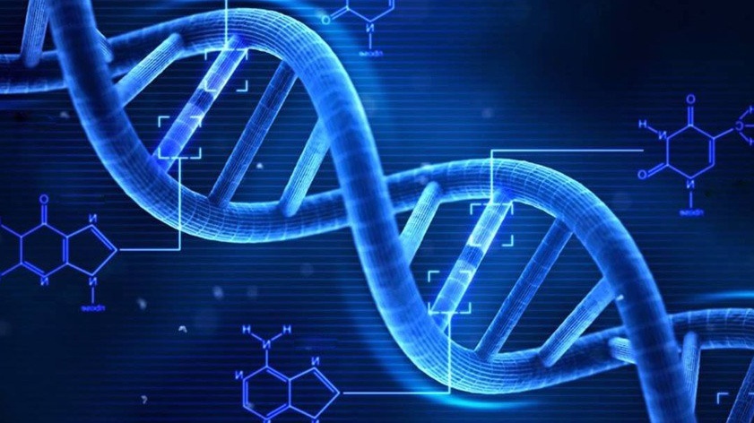 Microsoft - Experimente mit DNA als Datenspeicher