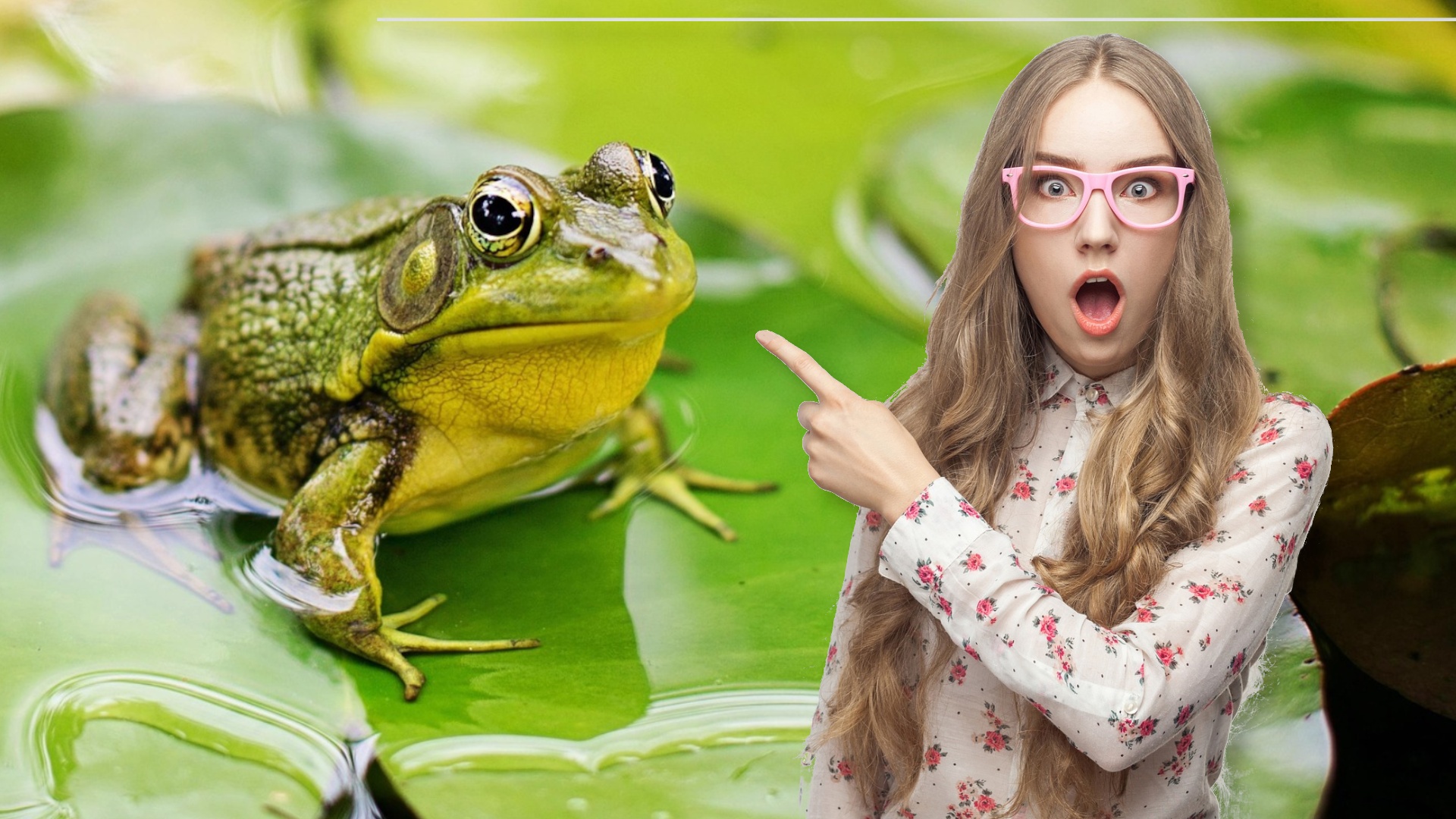 Eat the Frog: Was eklig klingt, ist mein schnellster Weg zu mehr ...