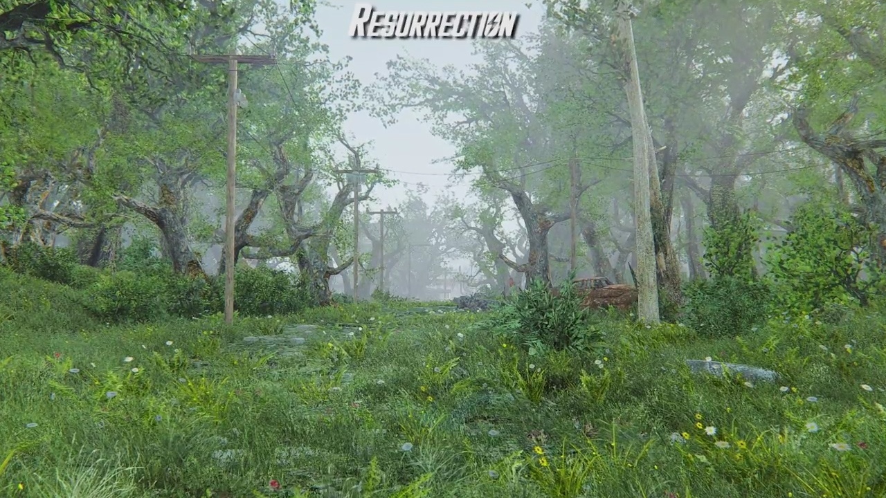 Fallout 4 - The Last of Us lässt grüßen: Mod macht Spielwelt grüner