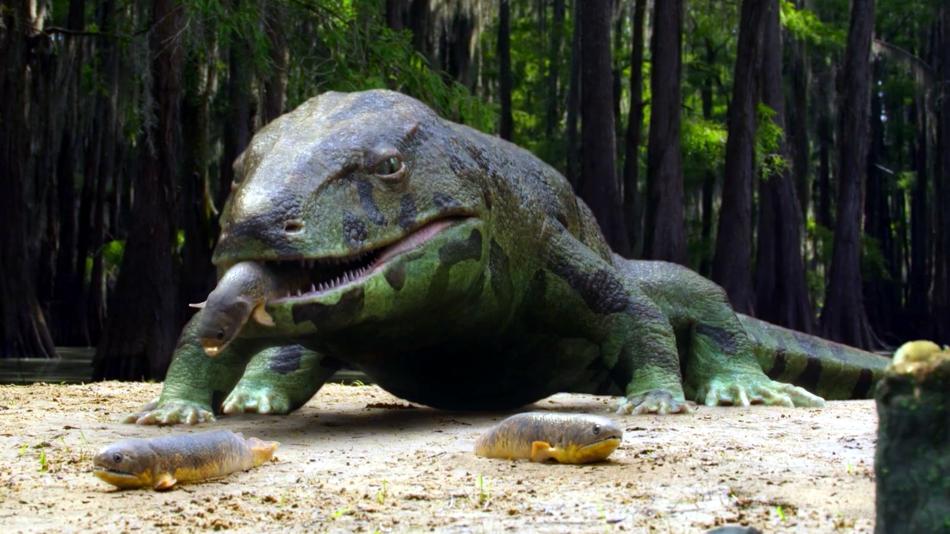 Leben auf unserem Planeten: Steven Spielberg produziert für Netflix ...