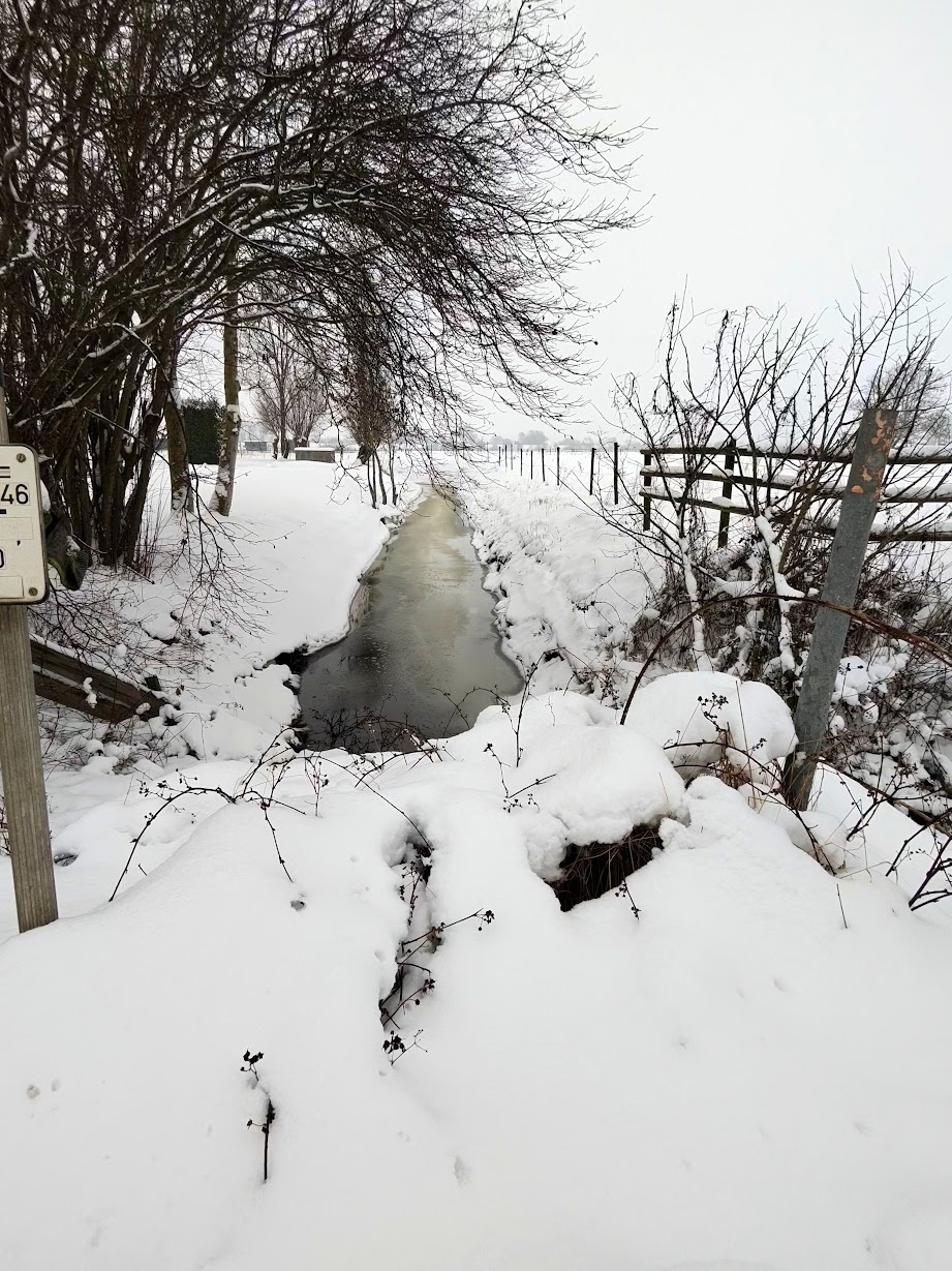 MediaMarkt haut die Meta Ray Ban zum Hammerpreis raus