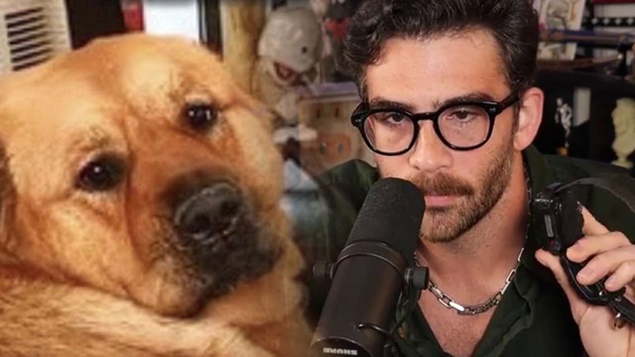 Twitch: Schwere Vorwürfe wegen Tierquälerei gegen einen Top-Streamer ...