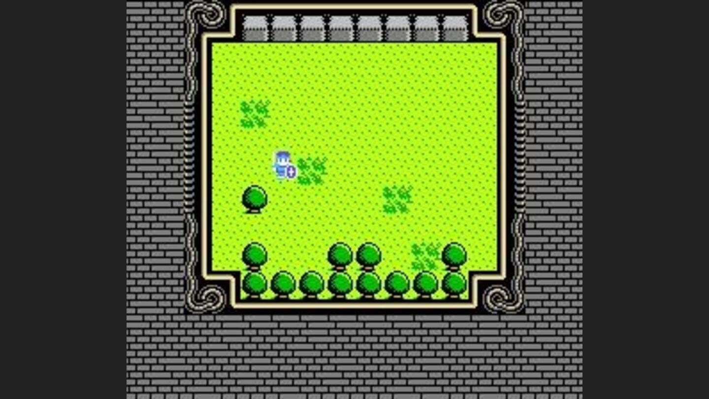 Magic Candle, The NES