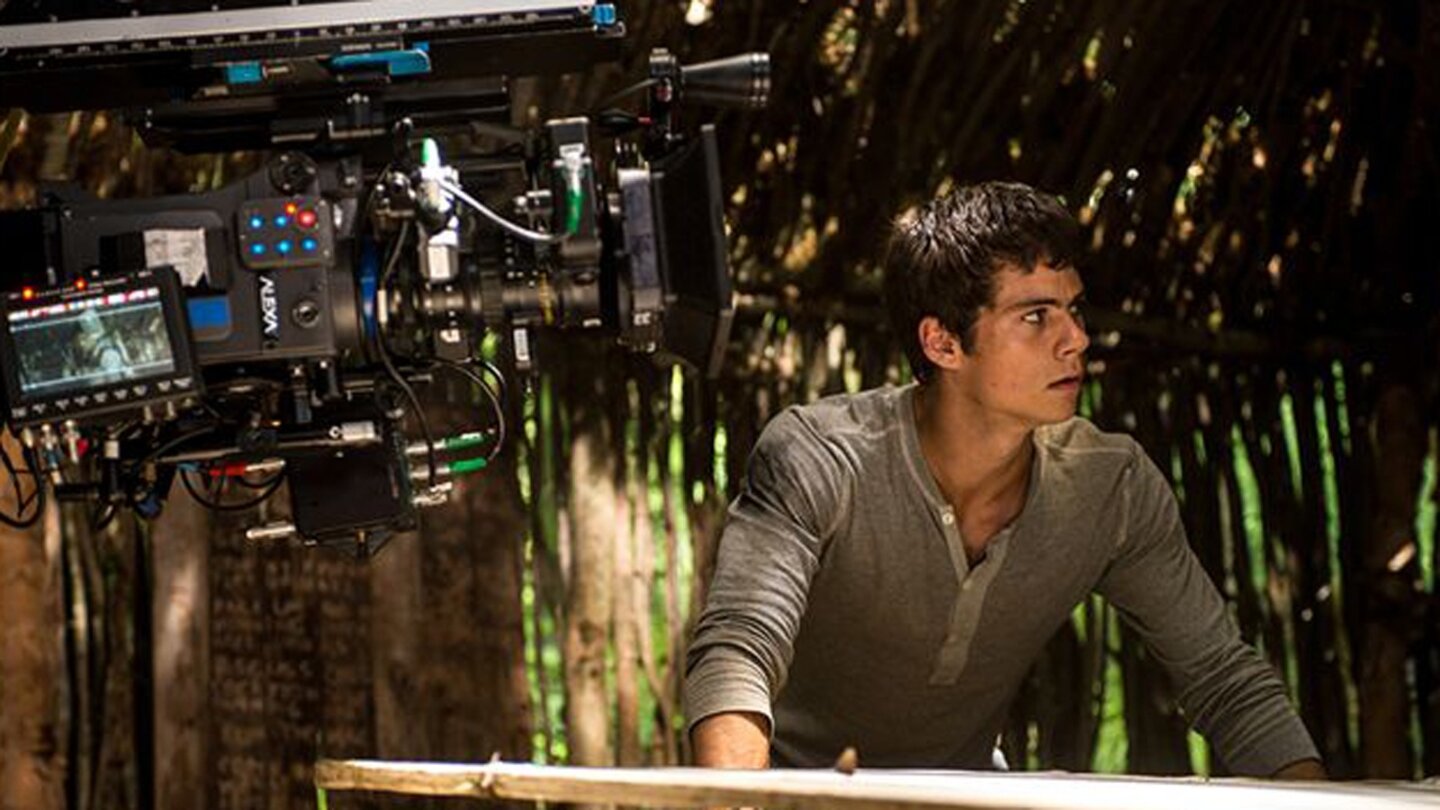 Maze Runner - Die Auserwählten im Labyrinth - Bilder aus dem Kinofilm