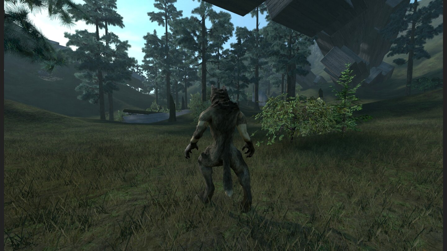 Overgrowth - Screenshots