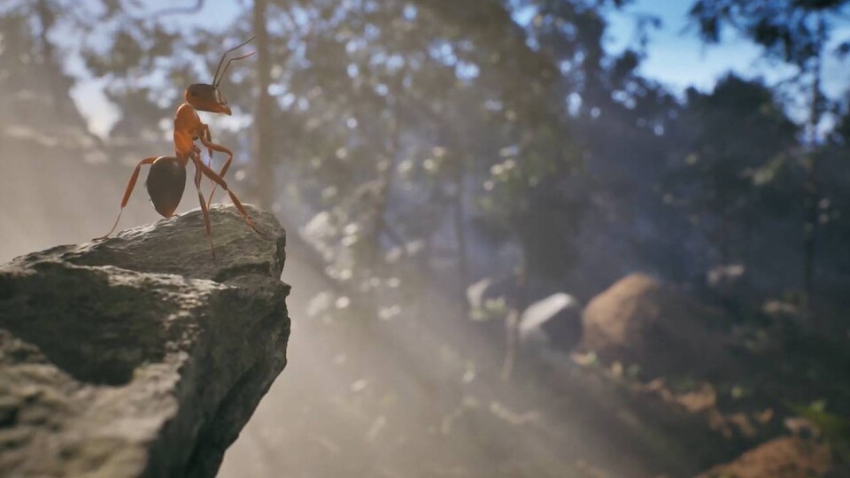 Empire of the Ants: „Fotorealistische“ Ameisen-Simulation jetzt für PS5 ...