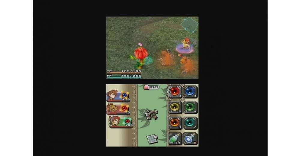 Final Fantasy Crystal Chronicles: Ring of Fates DS