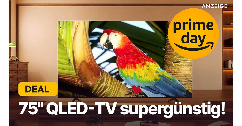 75 Zoll QLED 4K-TV im Prime Day-Angebot: Diesen 144Hz-Fernseher haut Amazon jetzt zum Top-Preis ...