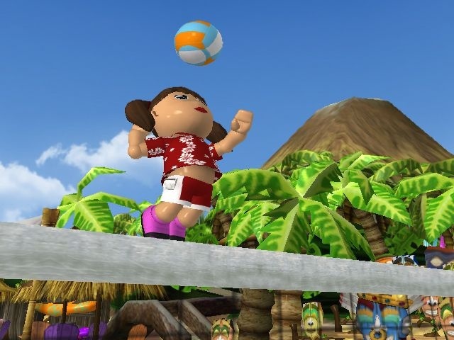 Big Beach Sports Wii