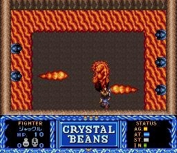 Crystal Beans From Dungeon Explorer SNES