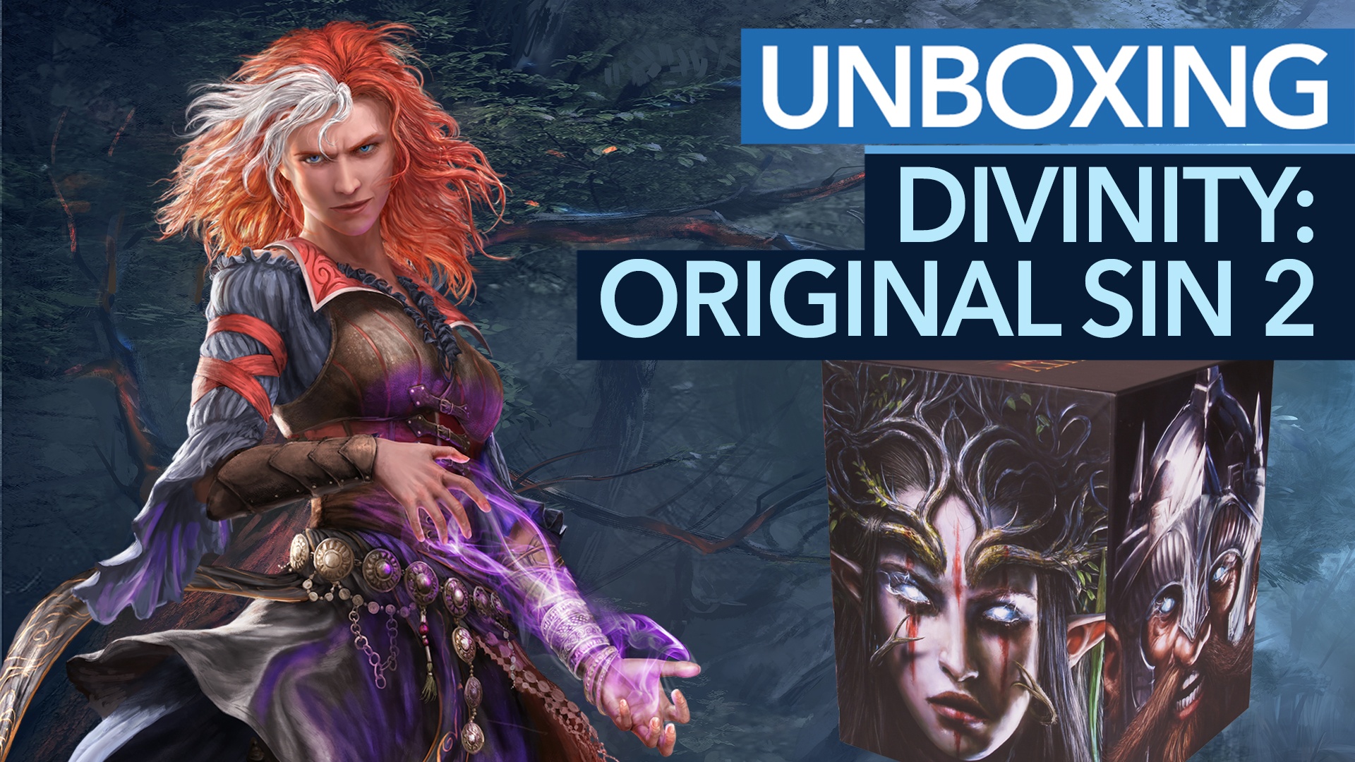 Divinity: Original Sin 2 - Unboxing: Eine geniale Collector's Edition ...