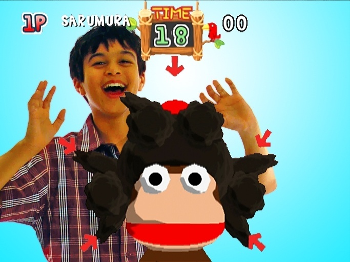 Eye Toy Monkey Mania