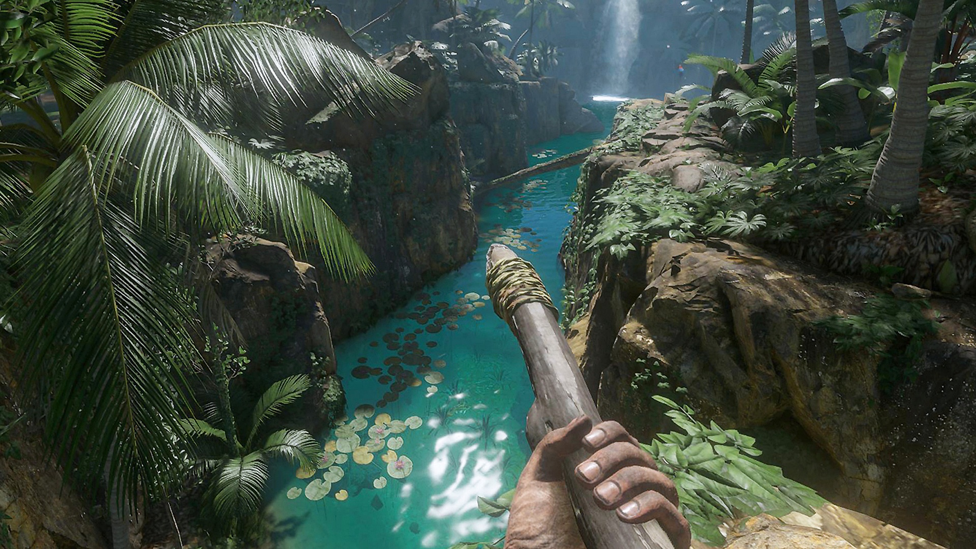 Green Hell - Erfolgreiches PC-Survival-Spiel kommt für die Switch