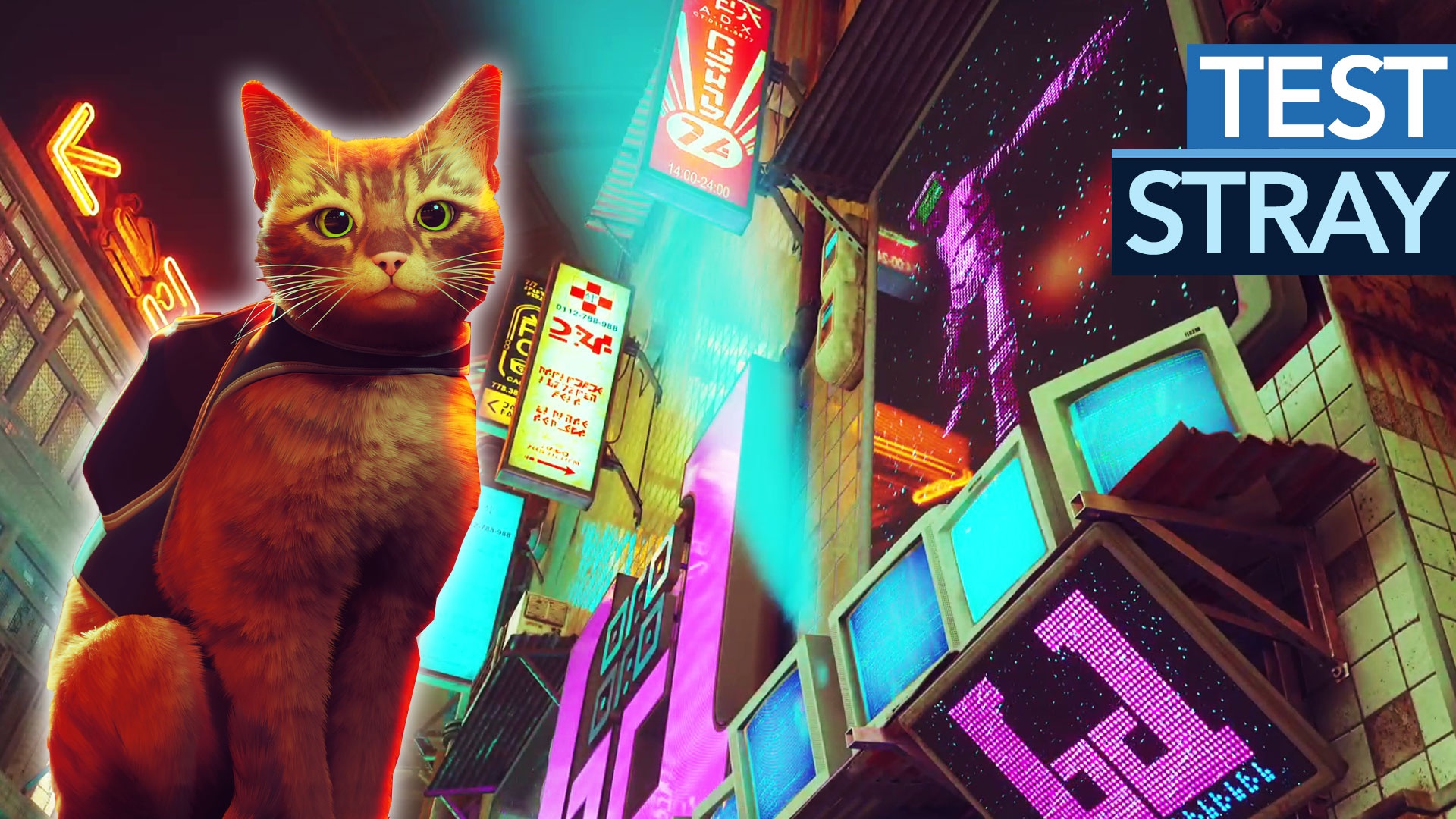 Stray ist wirklich eines der schönsten Spiele des Jahres - und auch ...